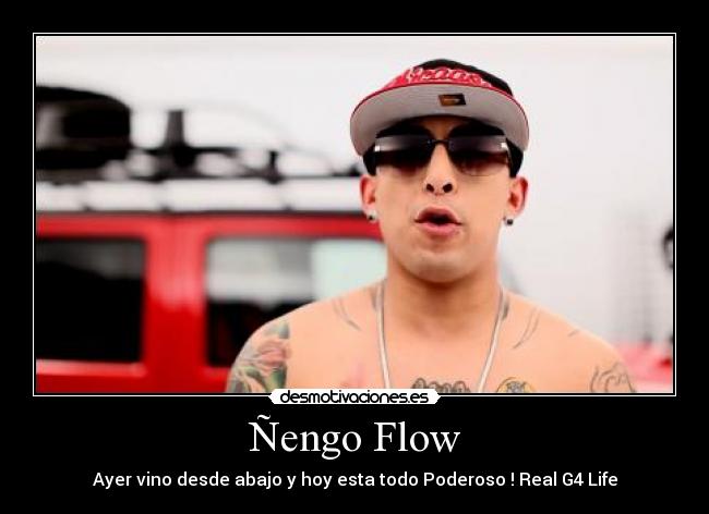 Nengo Flow Frases